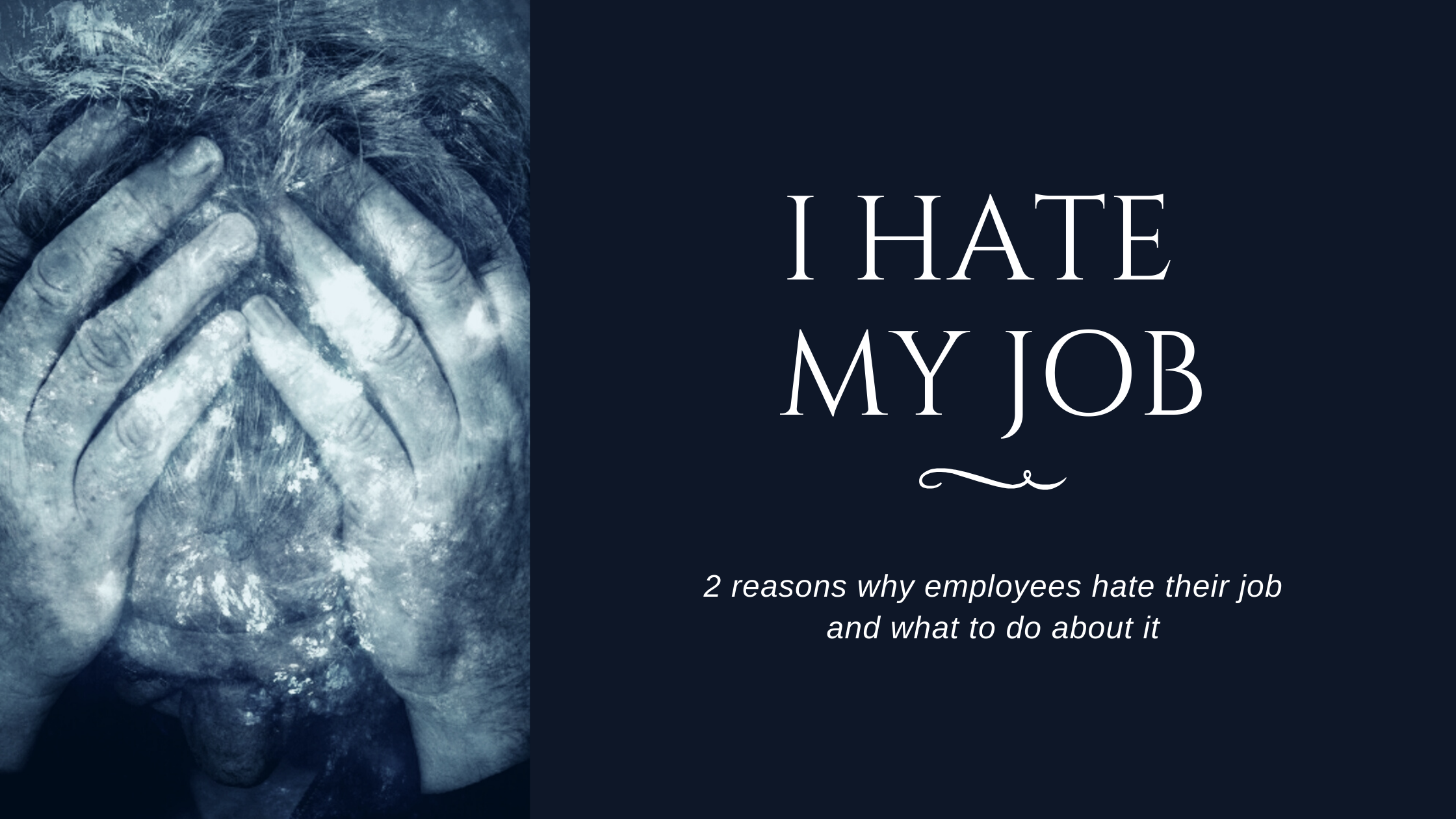 I Hate My Job! And What to Do About It!