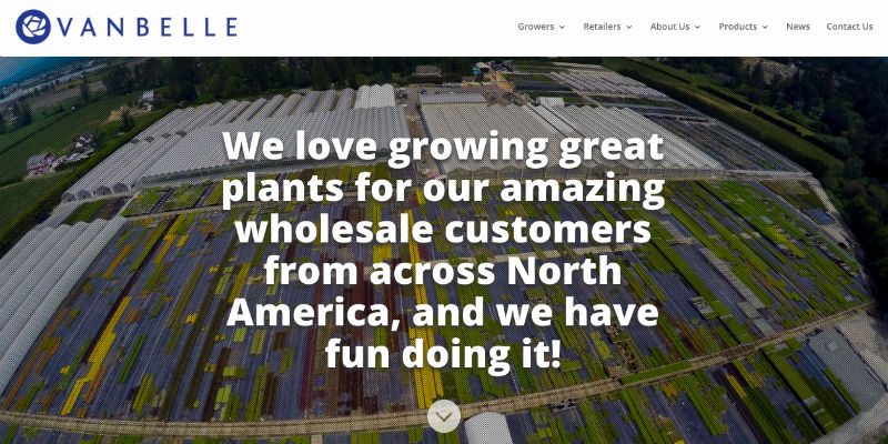 Van Belle Nursery
