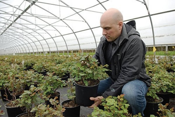 Van Belle Nursery